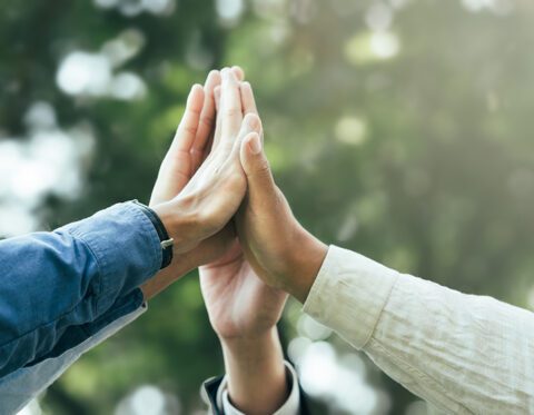 Company | P6 Technologies